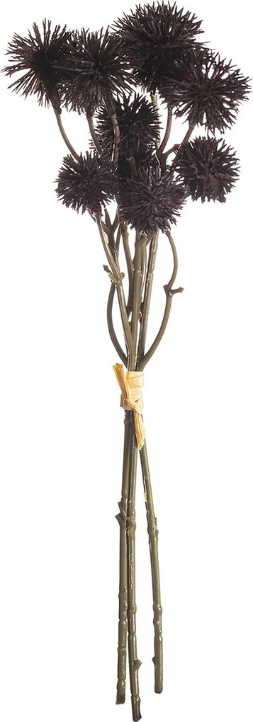 Kytice Kraspedia 30cm deep brown