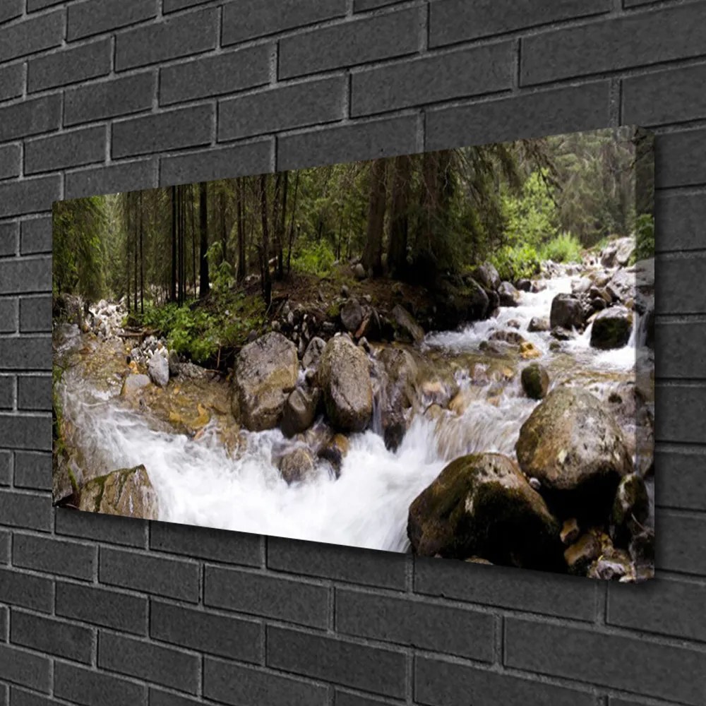 Obraz na plátně Les Řeka Vodopády 100x50 cm