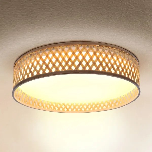 Brilagi - LED Stmívatelné stropní svítidlo CAMILA LED/48W/230V 3000-6500K + DO
