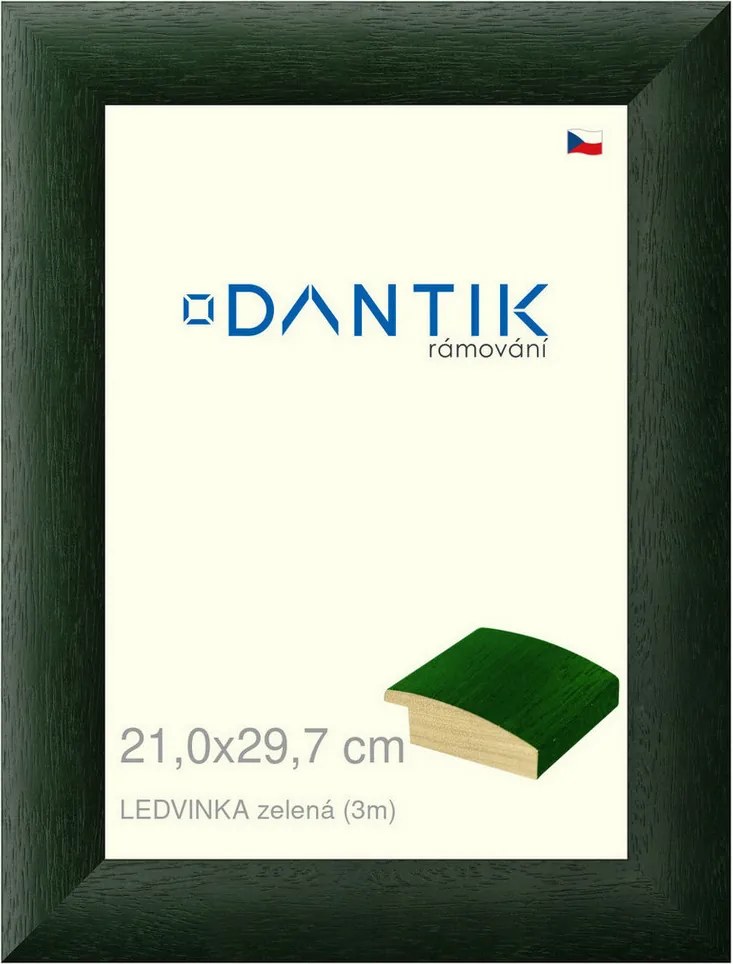 DANTIK rámeček 21x29,7 | LEDVINKA zelená (Sklo Čiré)
