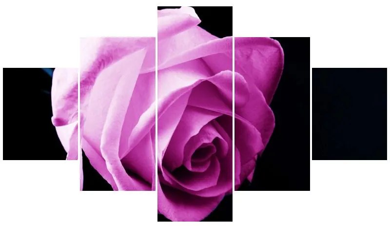 Obraz růžové růže  (125x70 cm), 40 dalších rozměrů