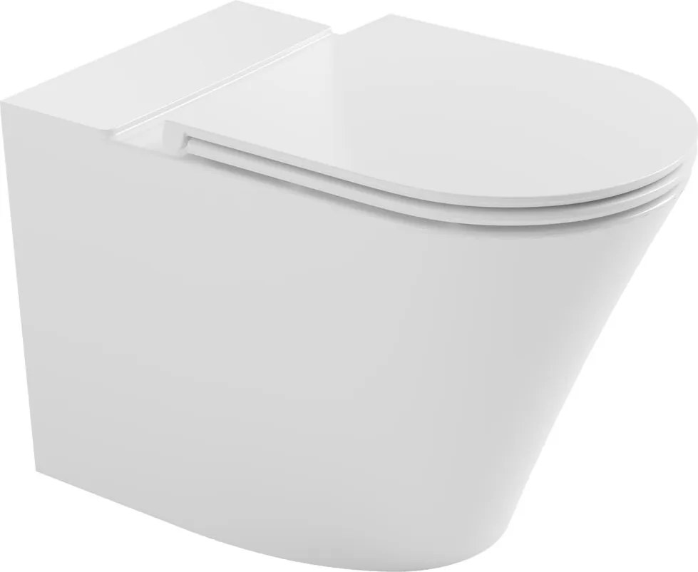 Bruckner Bruckner, FEIN mísa pro kombi WC, Rimless, 61x36cm, spodní/zadní odpad, bílá, 201.424.4