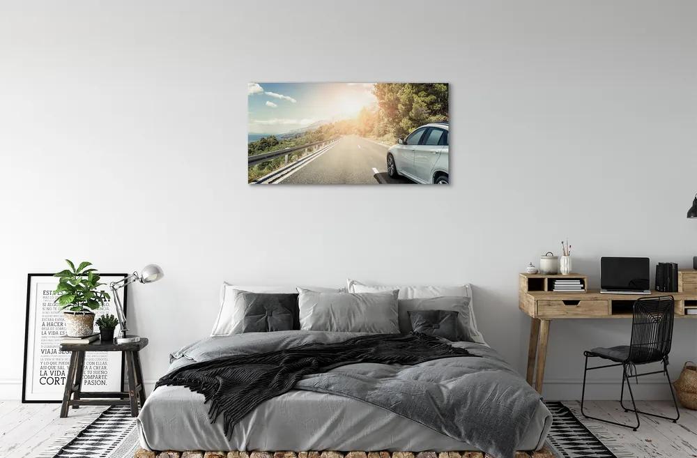 Obrazy na plátně Hory mraky auto silnice strom 100x50 cm