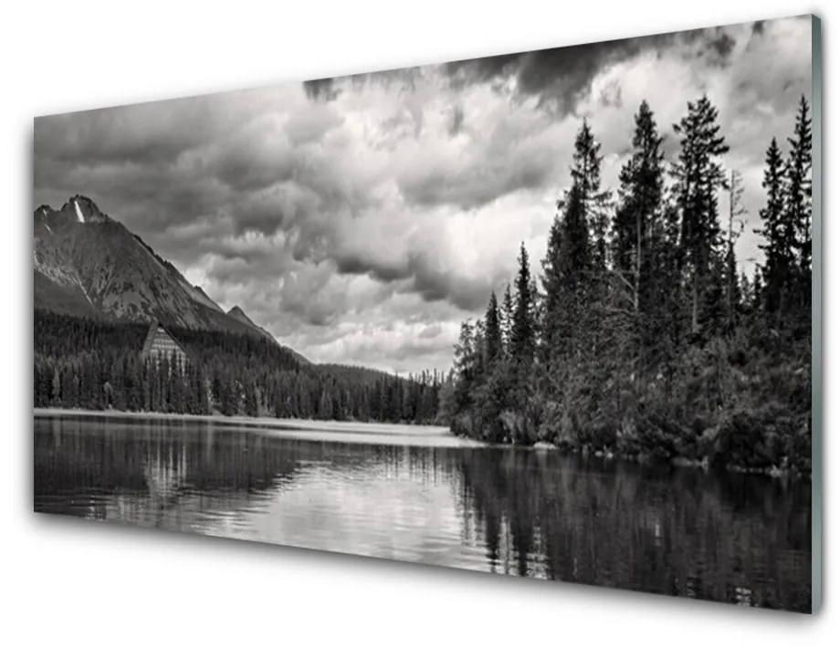 akrylový obraz Hora Les Jezero Příroda 100x50 cm