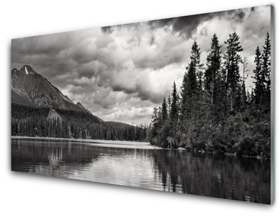 akrylový obraz Hora Les Jezero Příroda 125x50 cm