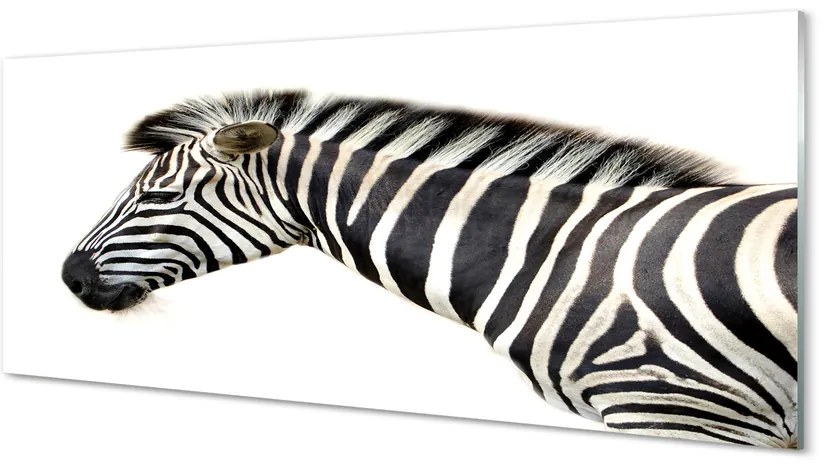 akrylový obraz zebra 120x60 cm