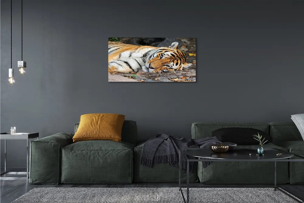 Obrazy na plátně ležící tygr 100x50 cm