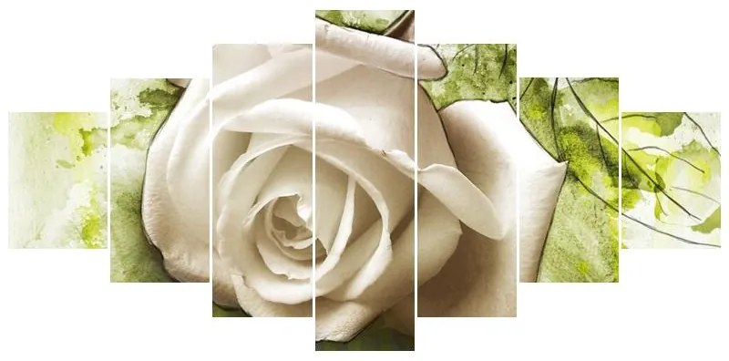 Obraz bílé růže na zeleném pozadí  (210x100 cm), 40 dalších rozměrů