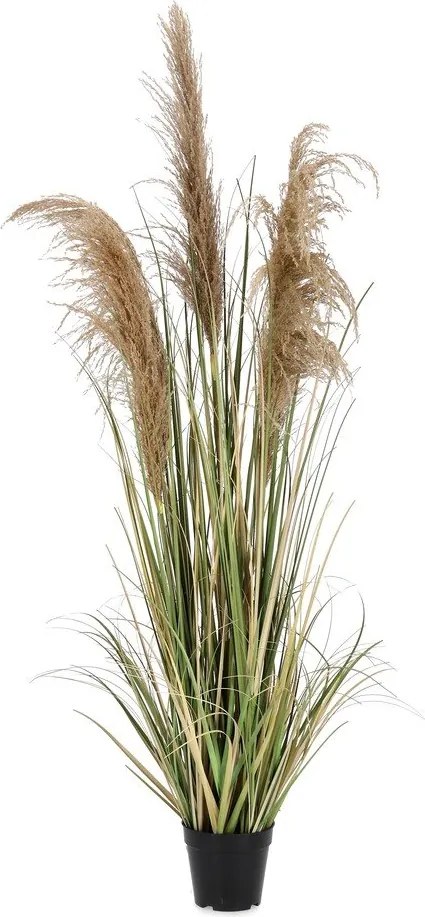 Umělá rostlina (výška 145 cm) Austorderia – Bizzotto