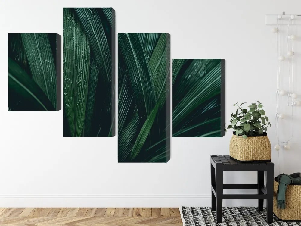 Vícedílný obraz Tmavě Zelené Listy Na Makro Stupnici Nedostatek Nedostatek Plátno Canvas 240x150