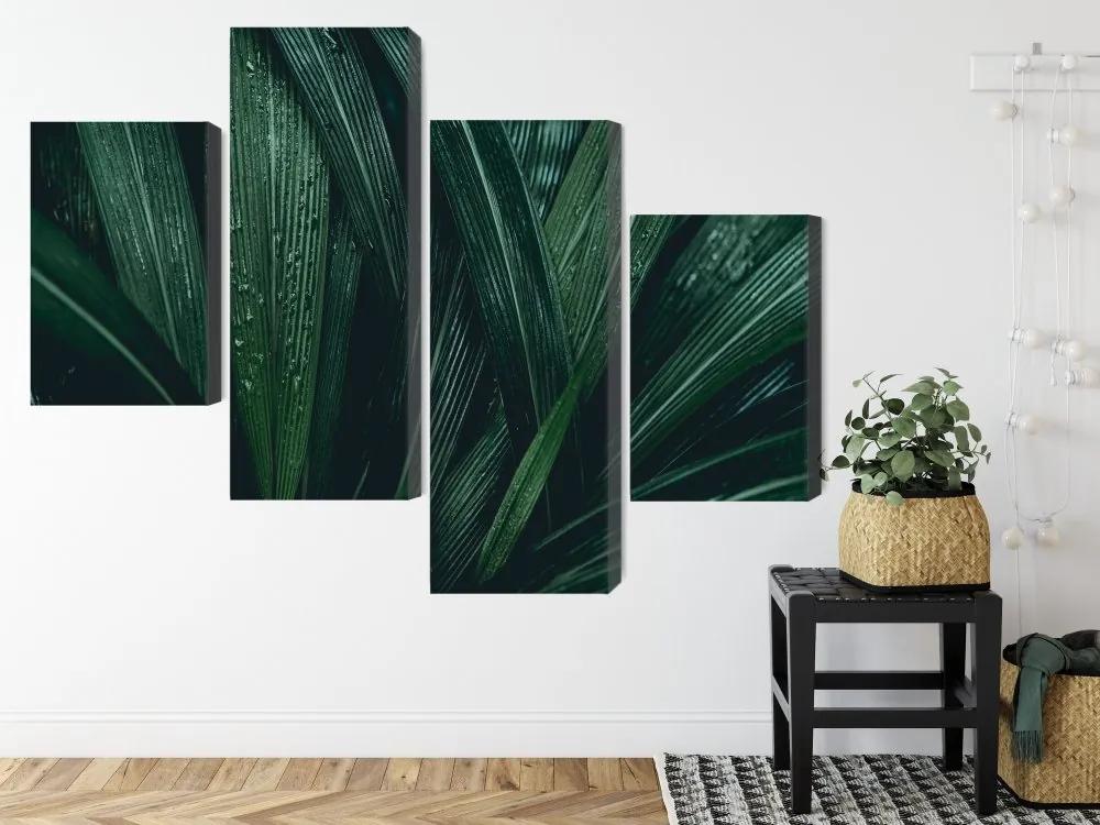 Vícedílný obraz Tmavě Zelené Listy Na Makro Stupnici Nedostatek Nedostatek Přírodní plátno 80x50