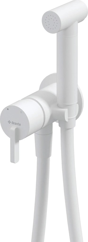 Deante Bidet tap, concealed, with bidetta hand shower