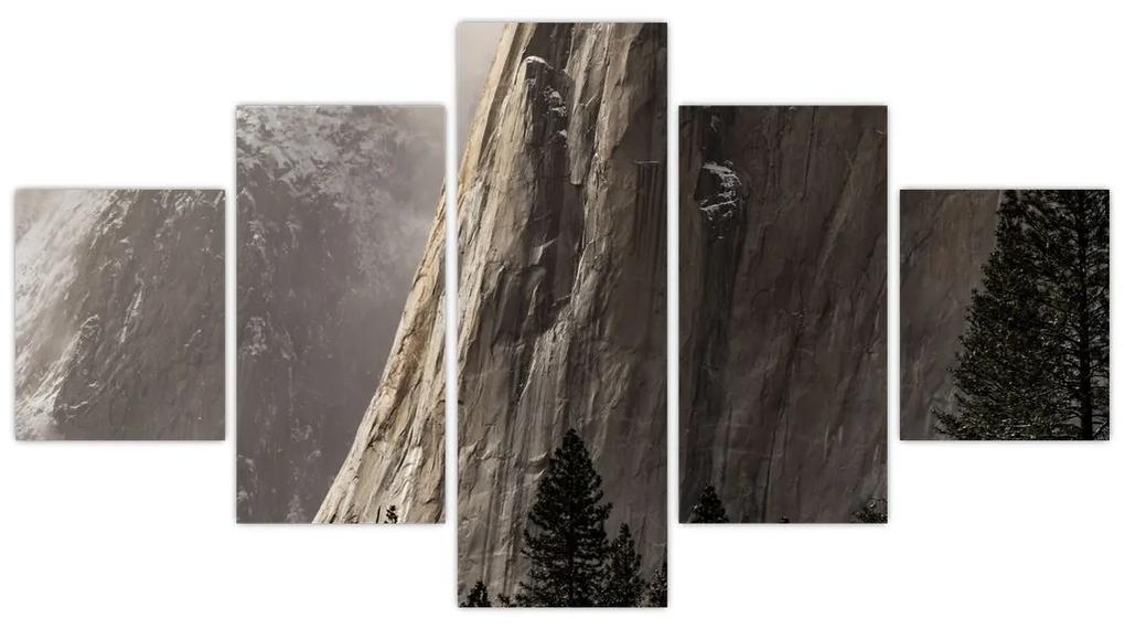 Obraz z údolí Yosemite národní parku, USA (125x70 cm)