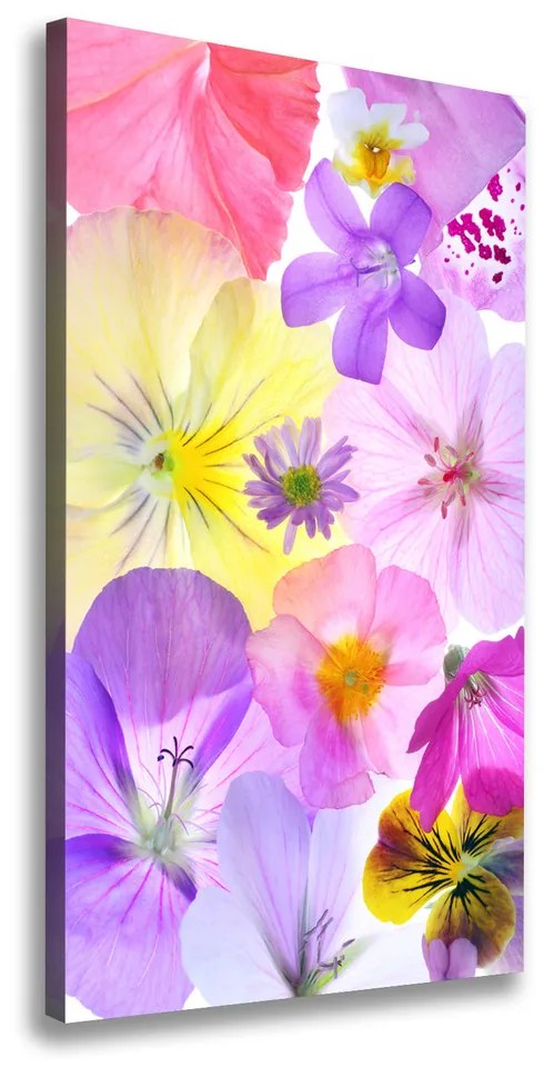 Wallmuralia Foto obraz na plátně Barevné květiny 60x120 cm