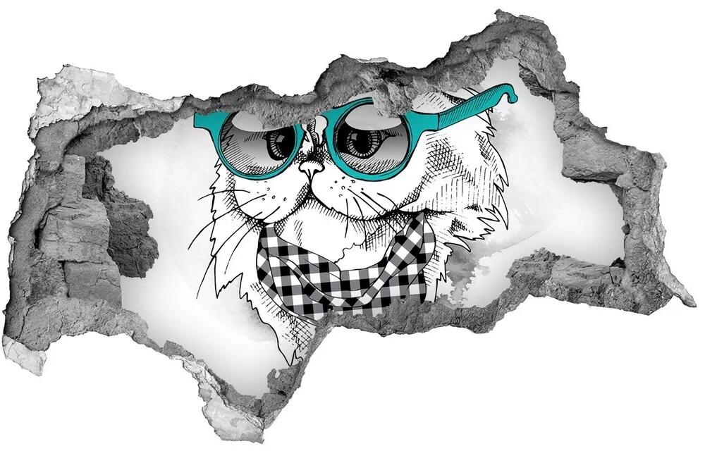 Wallmuralia Díra 3D fototapeta nálepka Kočka v brýlích 95x73 cm