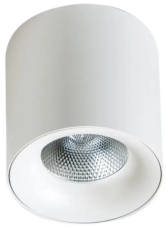 LED bodové světlo Mane 20W bílé