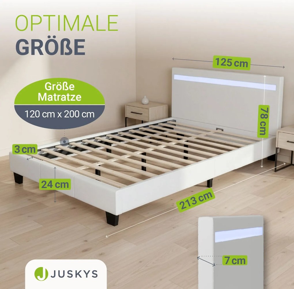 Juskys Čalouněná postel Paris s LED osvětlením Barva: tmavě šedá, Velikost: 120 × 200 cm