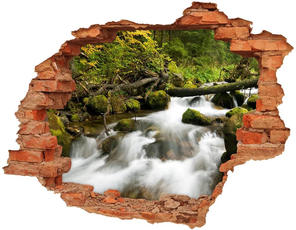 Wallmuralia Díra 3D ve zdi nálepka Potok Olczyski 90x70 cm