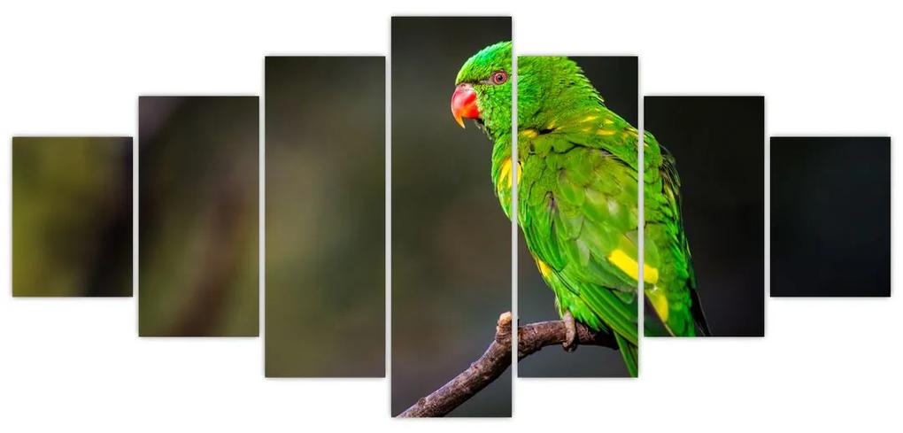 Obraz papouška na větvi (210x100 cm)