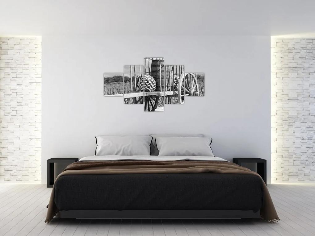 Obraz - Přívěsný vozík, černobílá (125x70 cm)