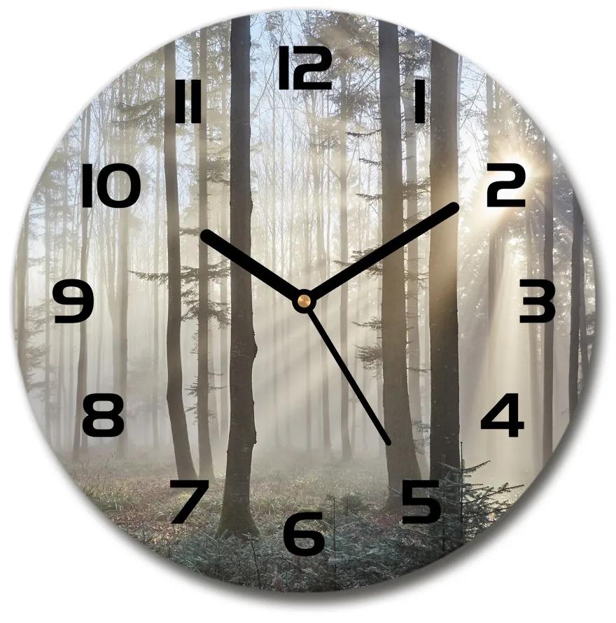 Wallmuralia Skleněné hodiny na stěnu Mlha v lese fi 30 cm