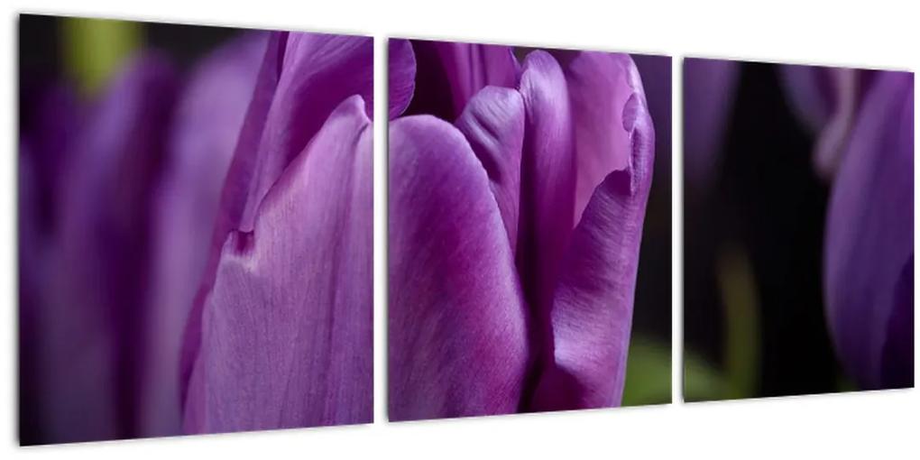 Obraz květů tulipánů (90x30 cm), 40 dalších rozměrů