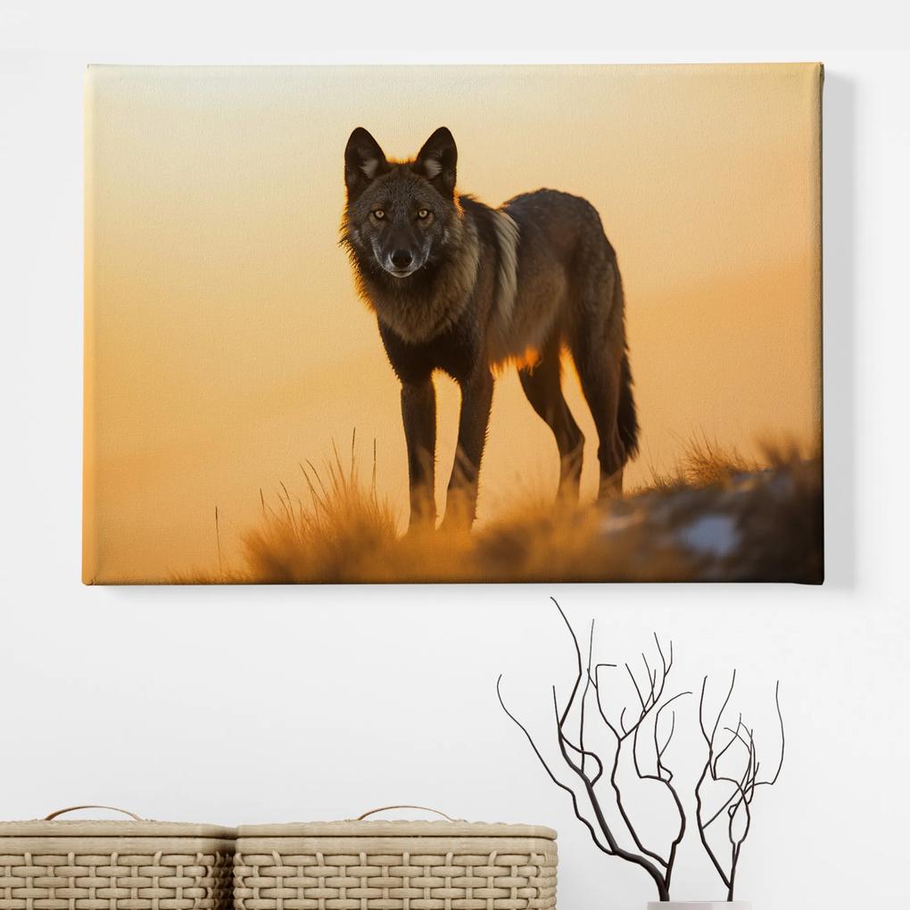 Obraz na plátně - Černý vlk na průzkumu FeelHappy.cz Velikost obrazu: 180 x 120 cm