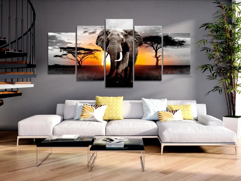 Obraz Slon při západu slunce (5-dílný) - putování divokou Afrikou