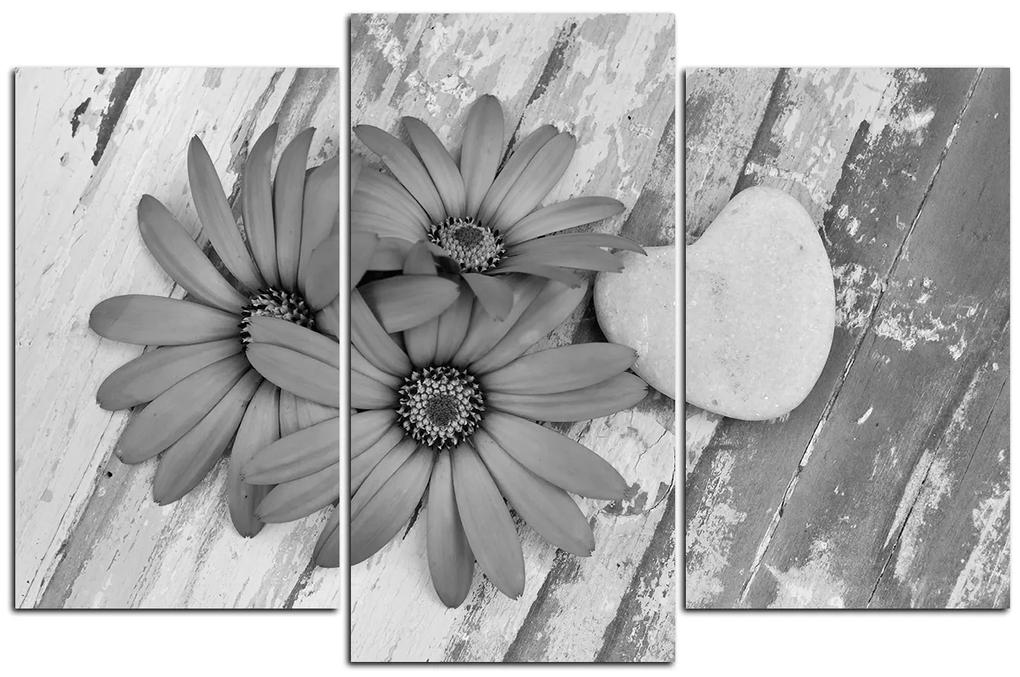 Obraz na plátně - Květy a kamenné srdce  183QC (90x60 cm)