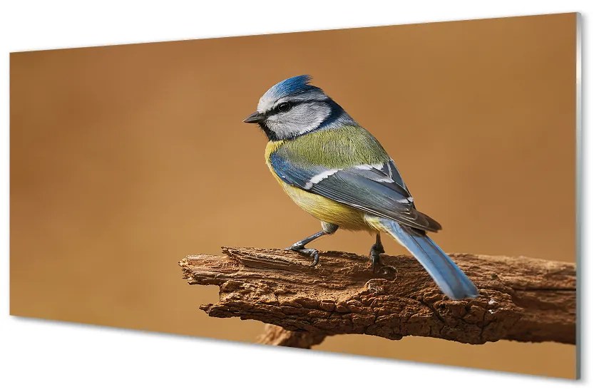 akrylový obraz Pták 140x70 cm