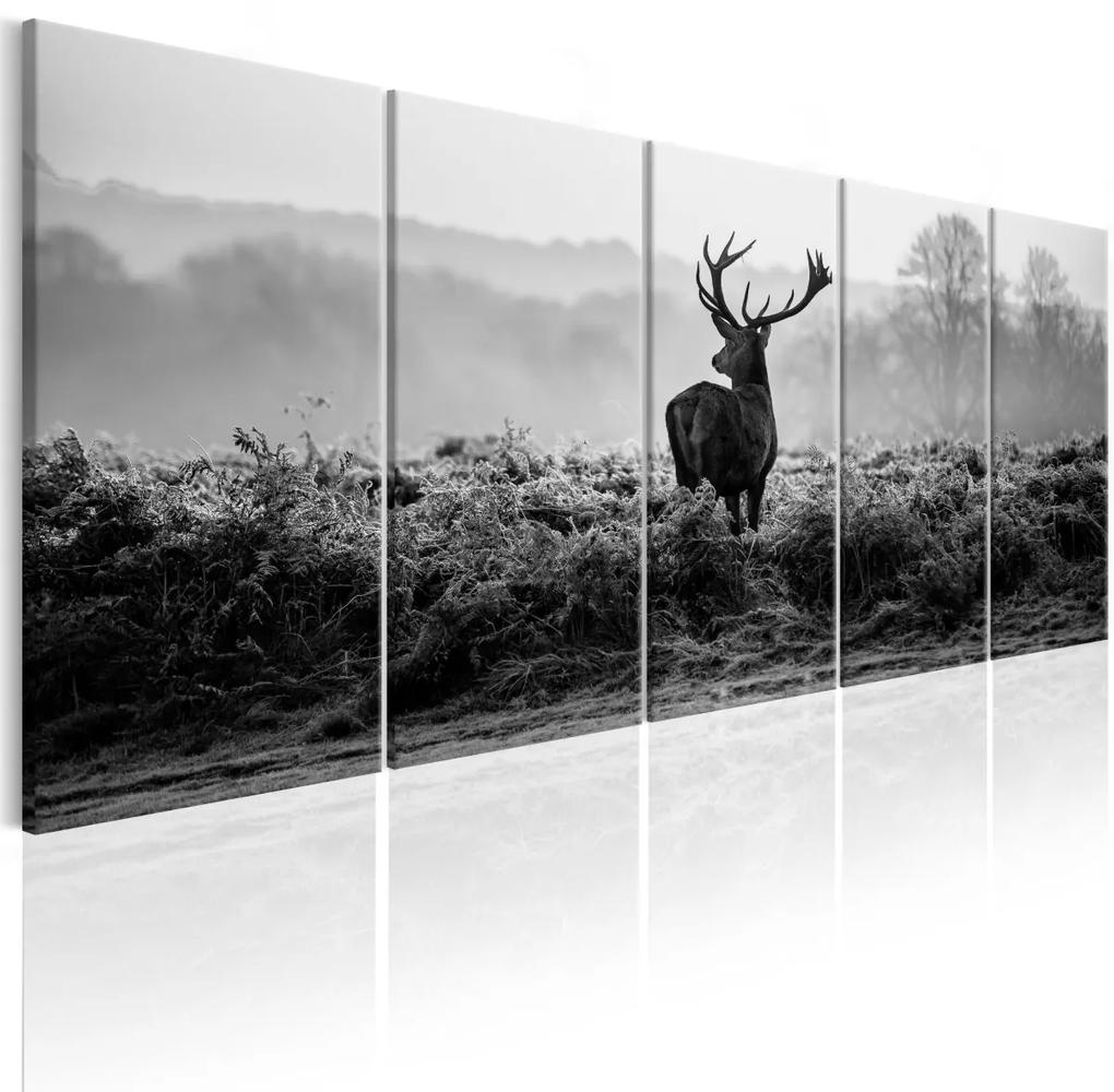 Murando DeLuxe Černobílý obraz - jelen Velikost: 150x60 cm