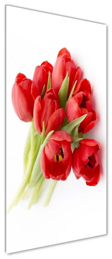 Wallmuralia Fotoobraz na skle Červené tulipány 50x125 cm