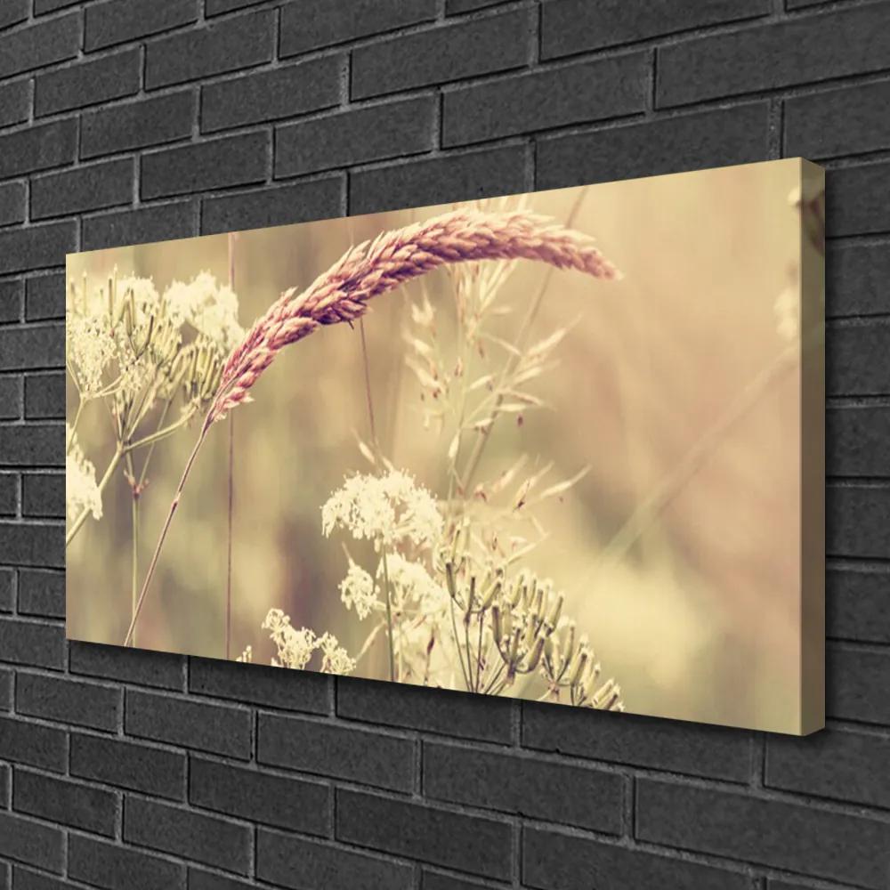Obraz na plátně Divoké Rostliny Příroda 125x50 cm