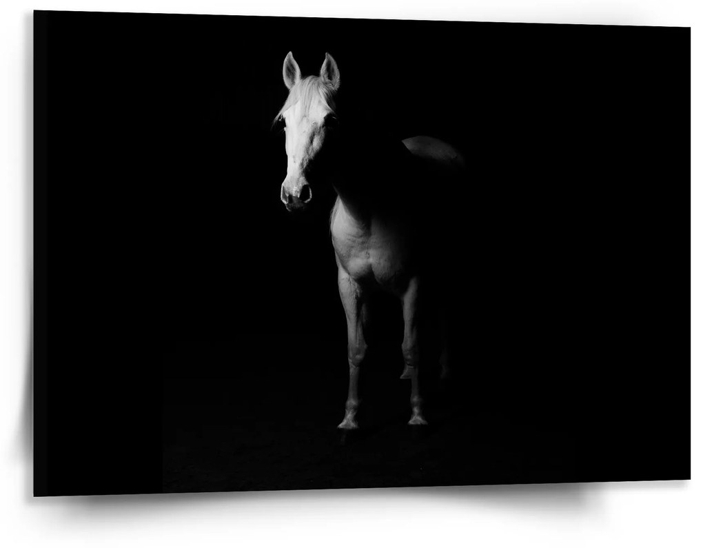 Obraz SABLIO - Kůň ve stínu 150x110 cm