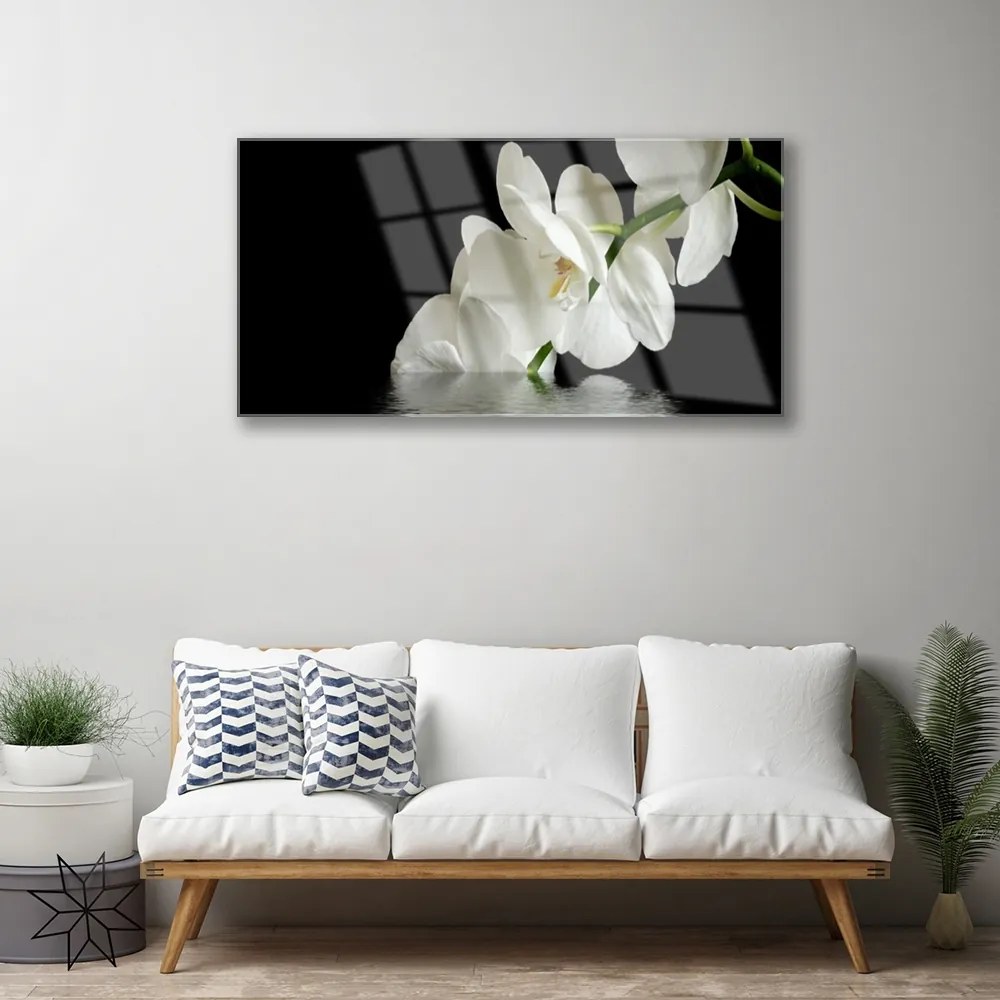Obraz na skle Orchidej ve Vodě Květiny 120x60 cm