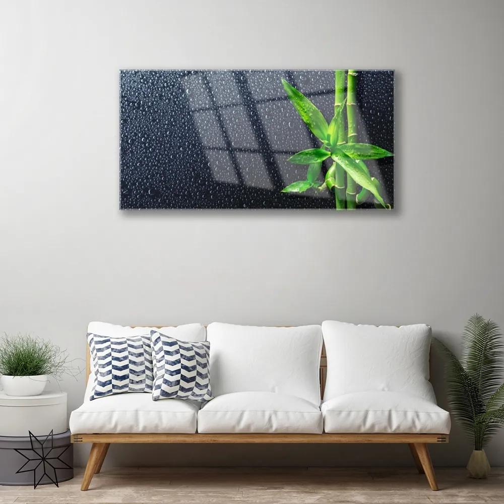 Obraz na skle Bambus Stonek Rostlina Příroda 100x50 cm