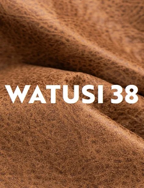 FN Relaxační křeslo ušák René světle hnědé Watusi 38