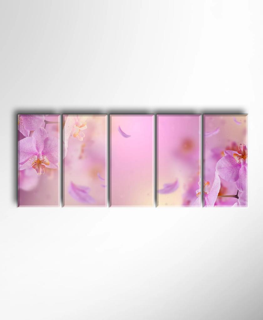 Malvis ® Obraz rozkvetlá orchidej ROZMĚR (šířka x výška): pětidílný obdélník 200x90 cm