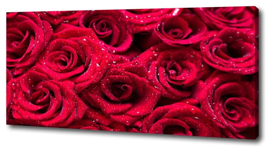 Wallmuralia Foto obraz na plátně do obýváku Kapky na růžích 125x50 cm