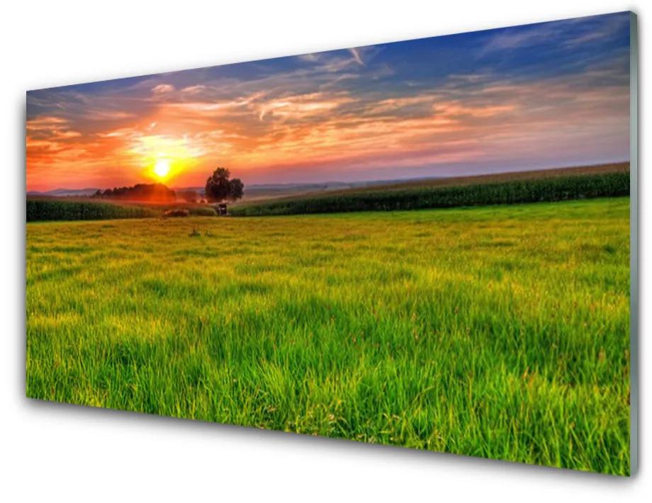 akrylový obraz Louka Slunce Příroda 125x50 cm