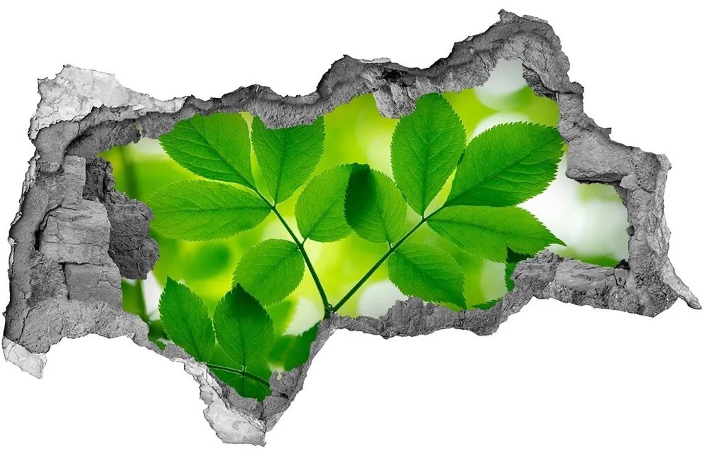 Wallmuralia Samolepící díra nálepka Zelené listí 95x73 cm