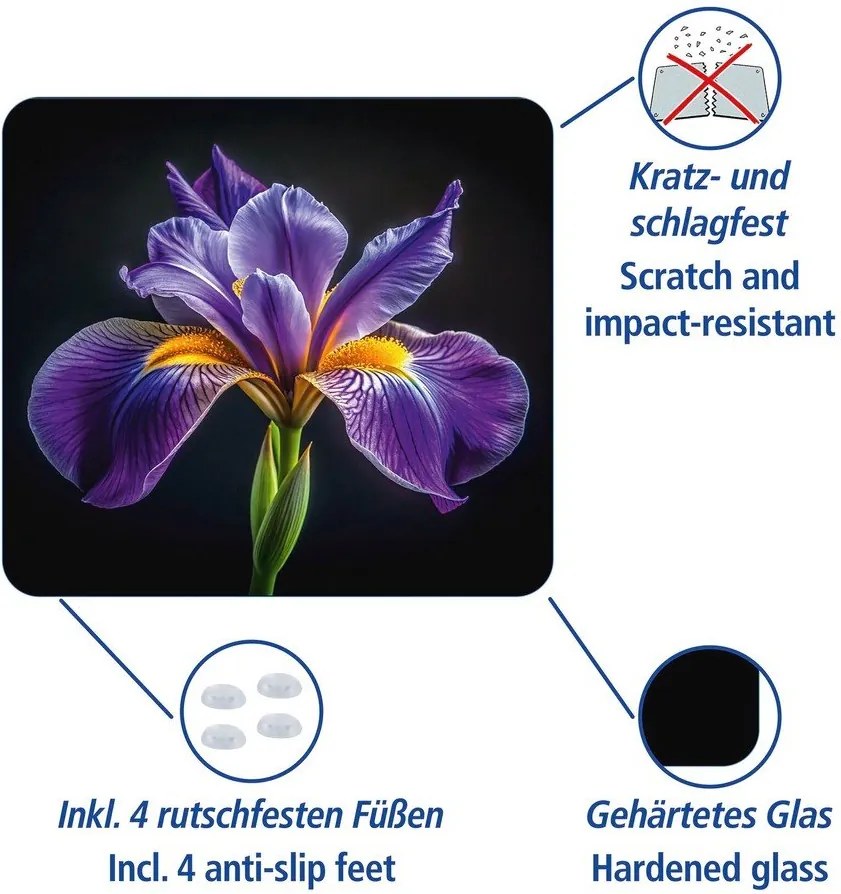 Kryt na zeď u sporáku z tvrzeného skla 50x56 cm Iris – Wenko