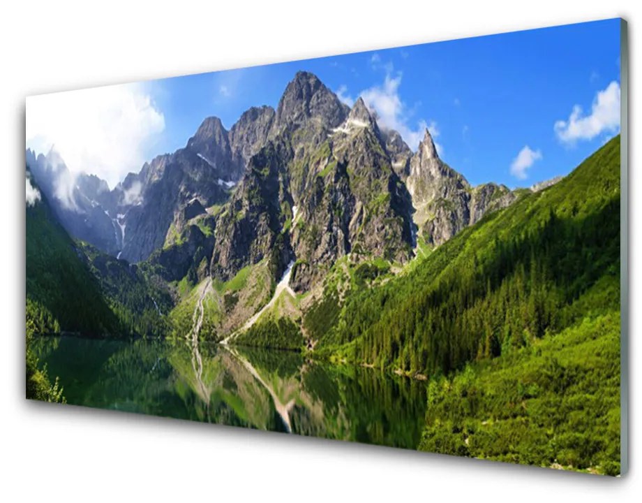 Obraz na skle Tatry Hory Mořské Oko Les 125x50 cm