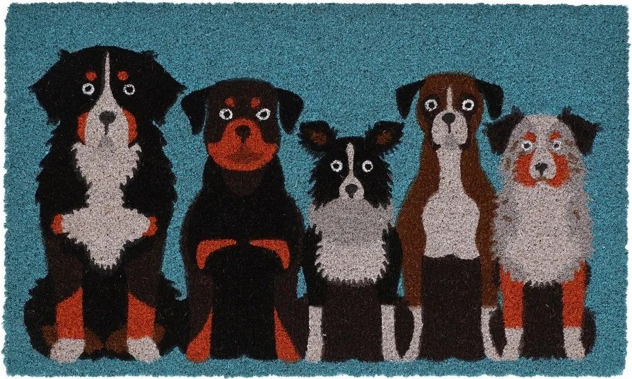 Rohožka z kokosového vlákna 45x75 cm – Esschert Design