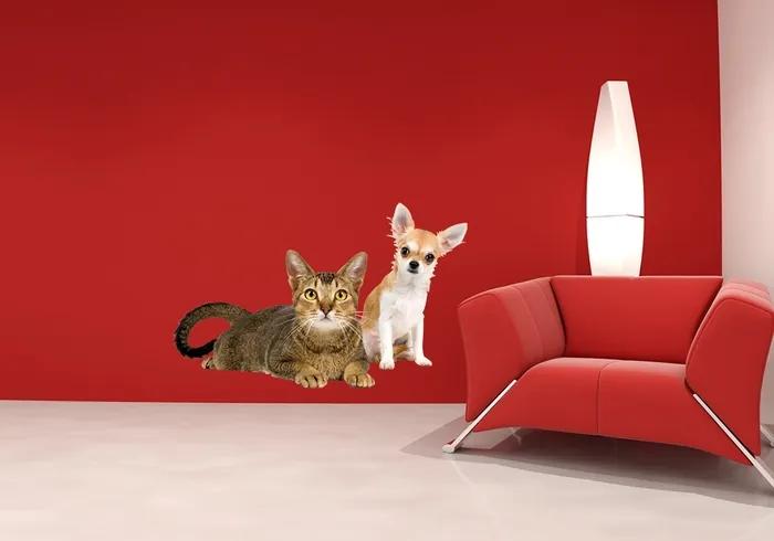 Barevná samolepka na zeď Pes a kočka - 80 x 50 cm