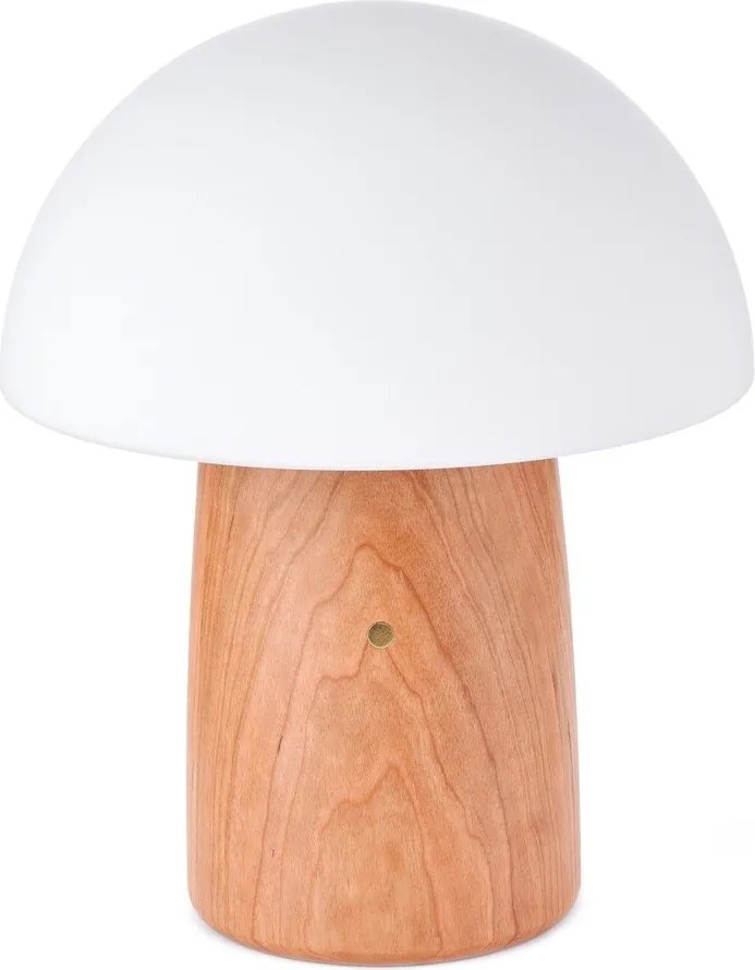 Stmívatelná stolní lampa v přírodní barvě se skleněným stínidlem (výška 32 cm) Alice – Gingko