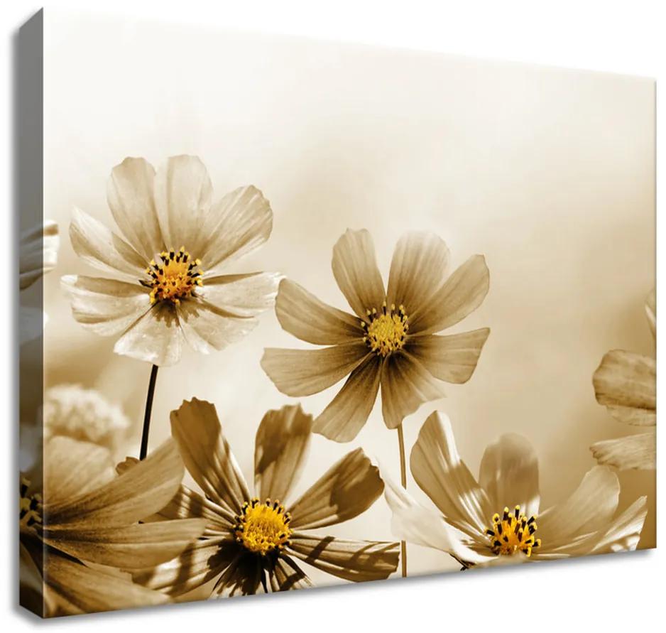 Gario Obraz na plátně Květnatá krása Velikost: 40 x 30 cm