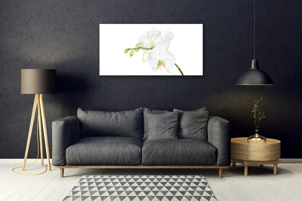 Obraz na skle Orchidej Květiny Příroda 100x50 cm