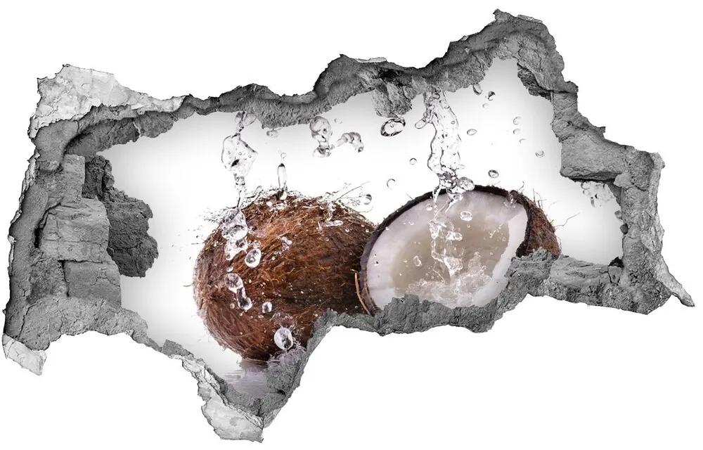 Wallmuralia Nálepka 3D díra Kokos a voda 95x73 cm