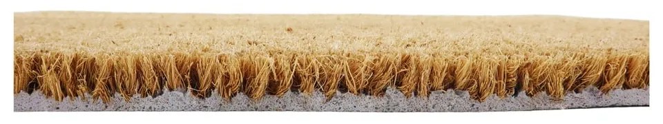 Rohožka z kokosového vlákna 40x60 cm Tree of Life – Artsy Doormats